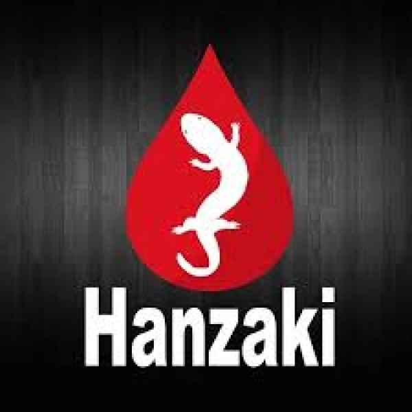 Hanzaki, Araguaína/TO - deTudo